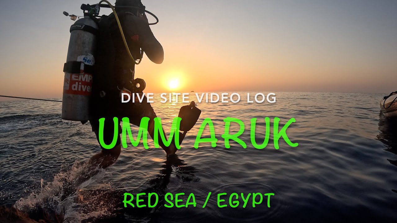 Dive Site Vlog - Umm Aruk - Red Sea, Egypt - YouTube