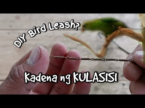 KULASISI CHAIN - YouTube