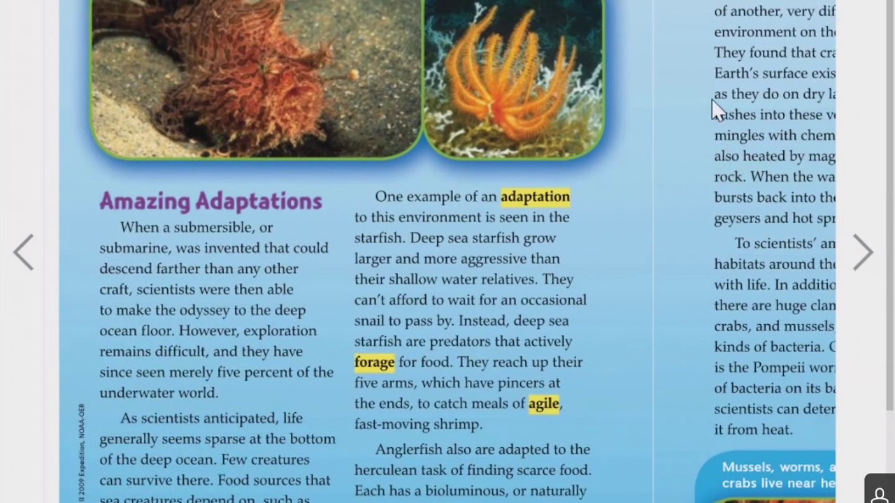 Unit 6 Week 3 Read Aloud "Mysterious Oceans" - YouTube