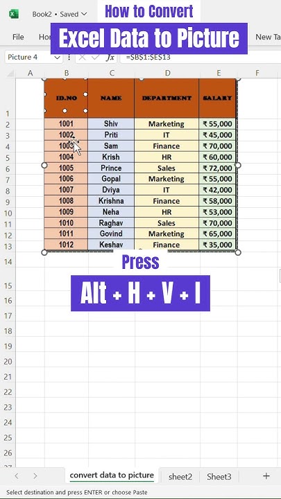 How to Convert Excel Data to Picture in Excel || Convert Picture to ...