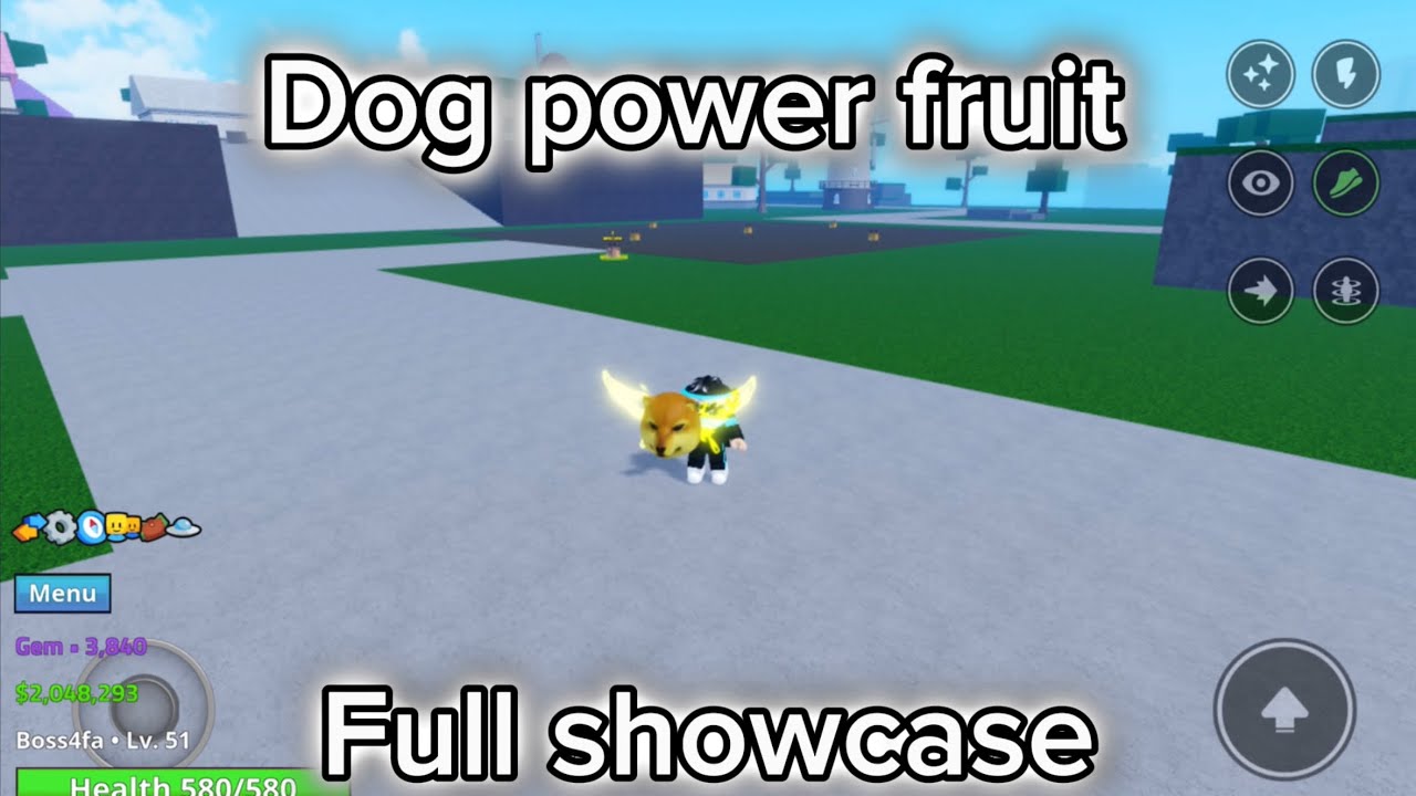 DOG POWER FRUIT FULL SHOWCASE IN (MEME SEA) - YouTube