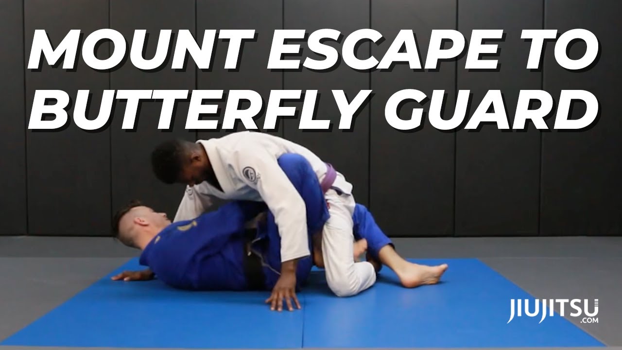 Mount Escape to Butterfly Guard - YouTube