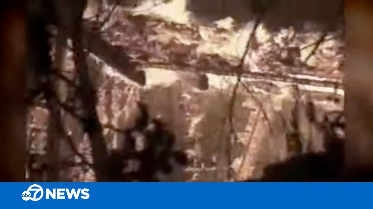 FROM THE ARCHIVES: A look back at devastating Oakland Hills firestorm ...