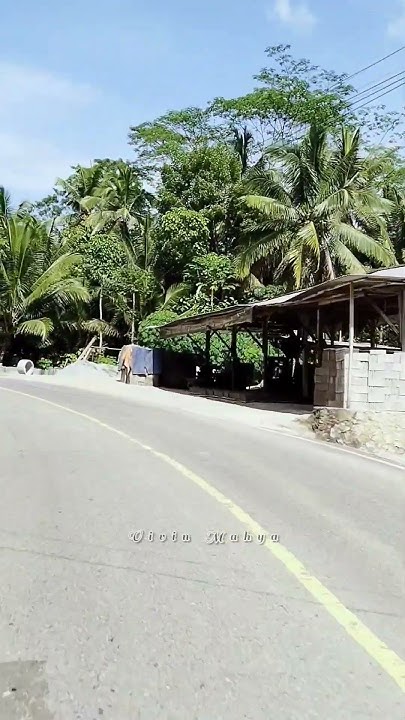 JALAN RAYA PACITAN TULAKAN, KM JATIGUNUNG TULAKAN YANG SEJUK #shorts - YouTube