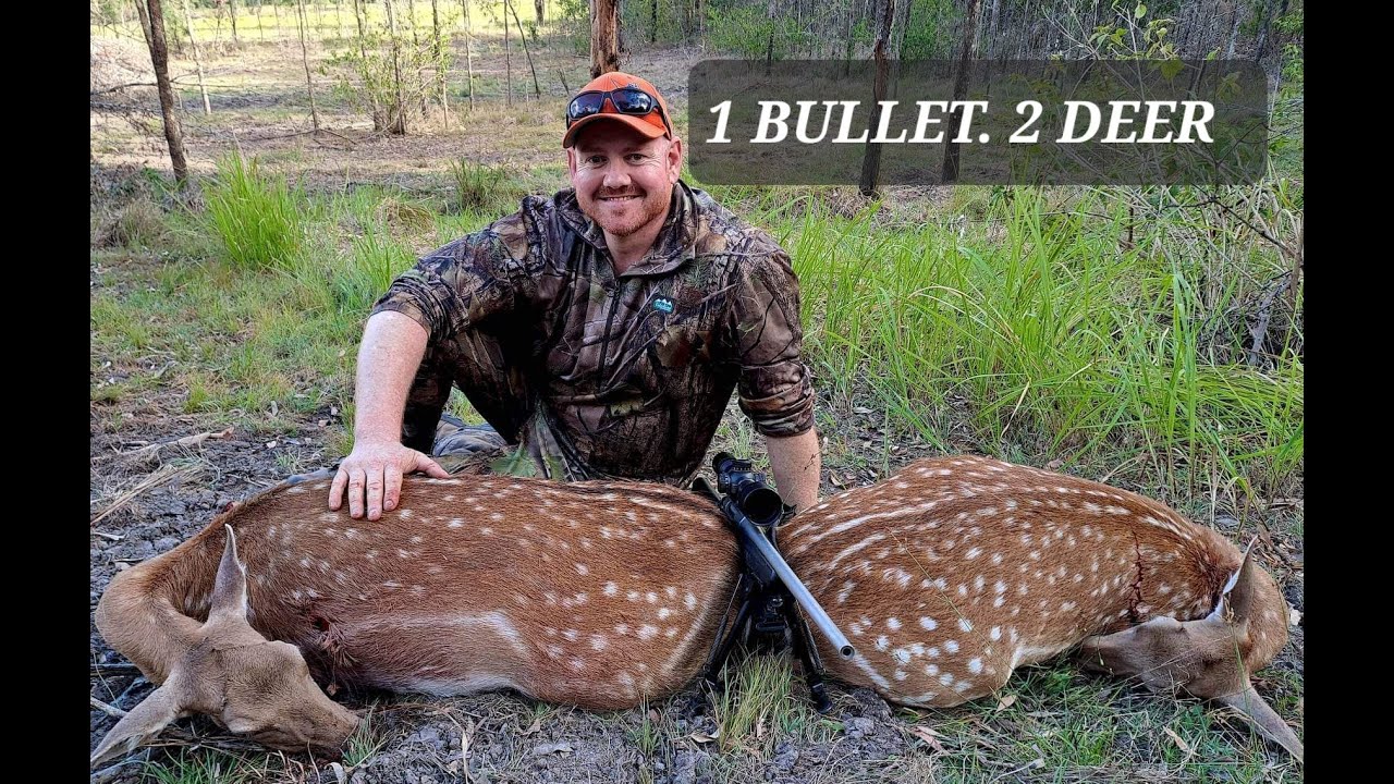 Deer Hunting 1 Bullet 2 Deer - YouTube