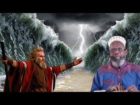 KISA CHA NABII MUSSA NA FIRAUNI | SHEIKH MSELEM BIN ALY