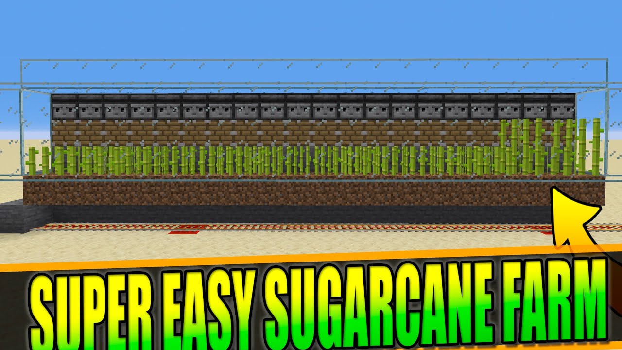 How to Make a Sugar Cane Farm in Minecraft 1.16: Minecraft Sugar Cane ...