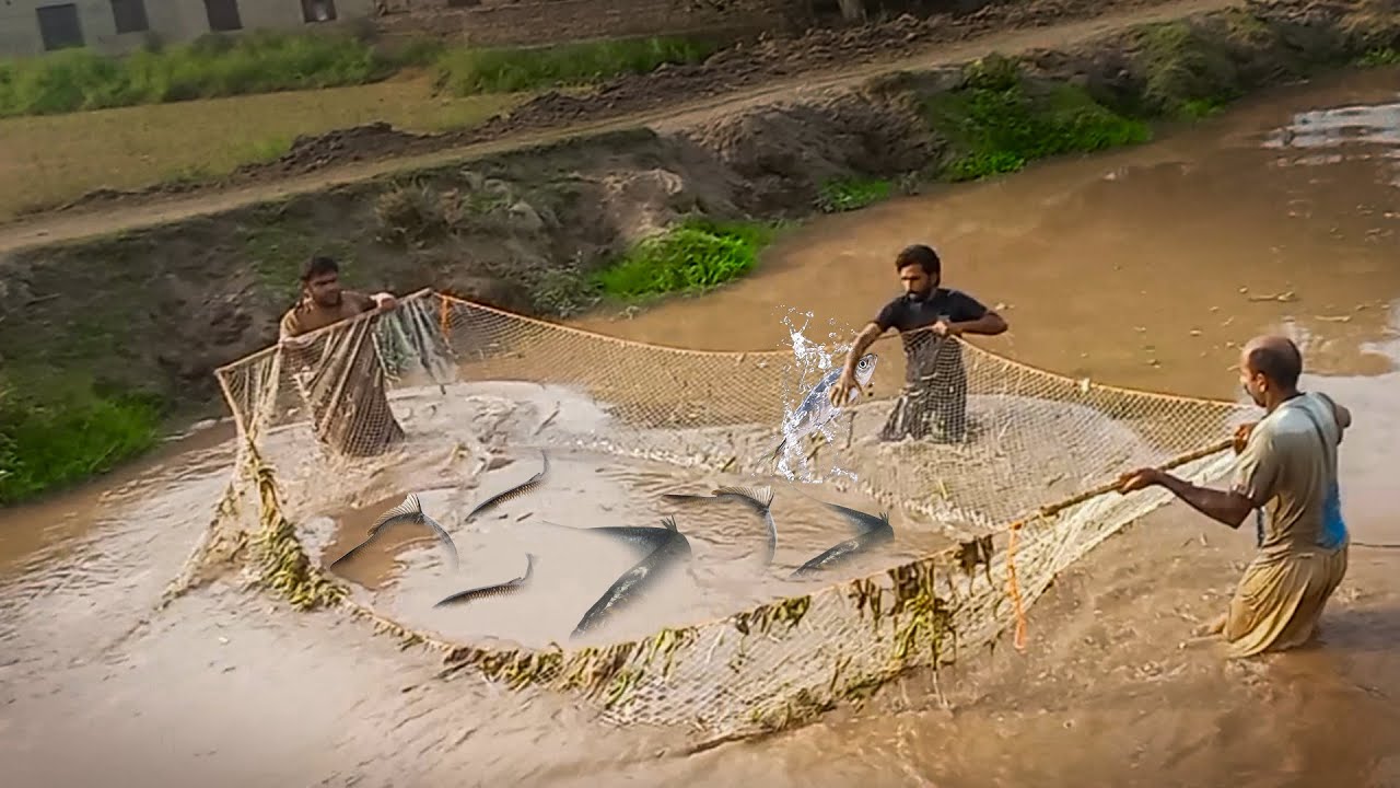 Learn how to fish like a pro with village fishing techniques | Catching ...