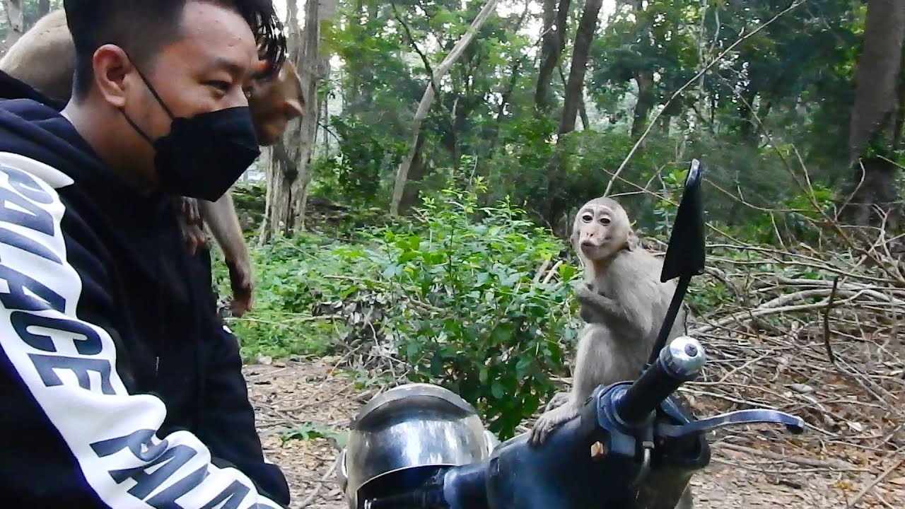 Dawn is first scared when Yat says MORNING then she sees me & runs to ...