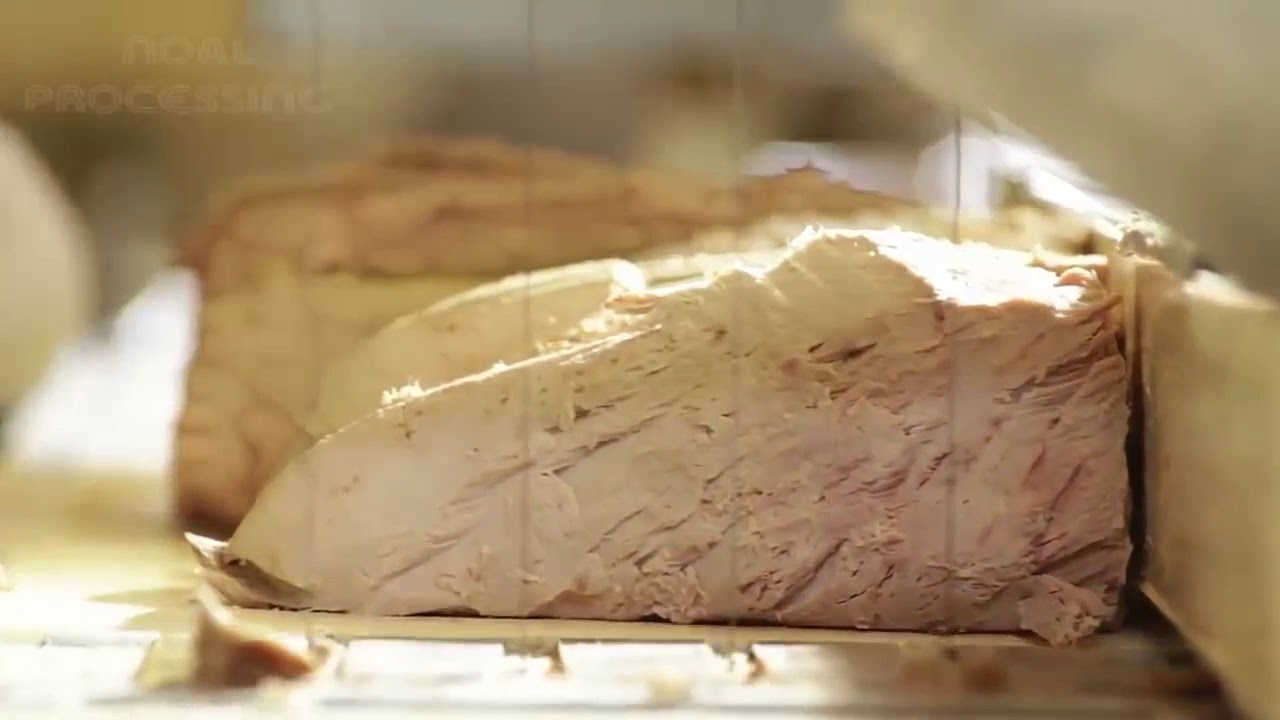 Canned Tuna processing - YouTube