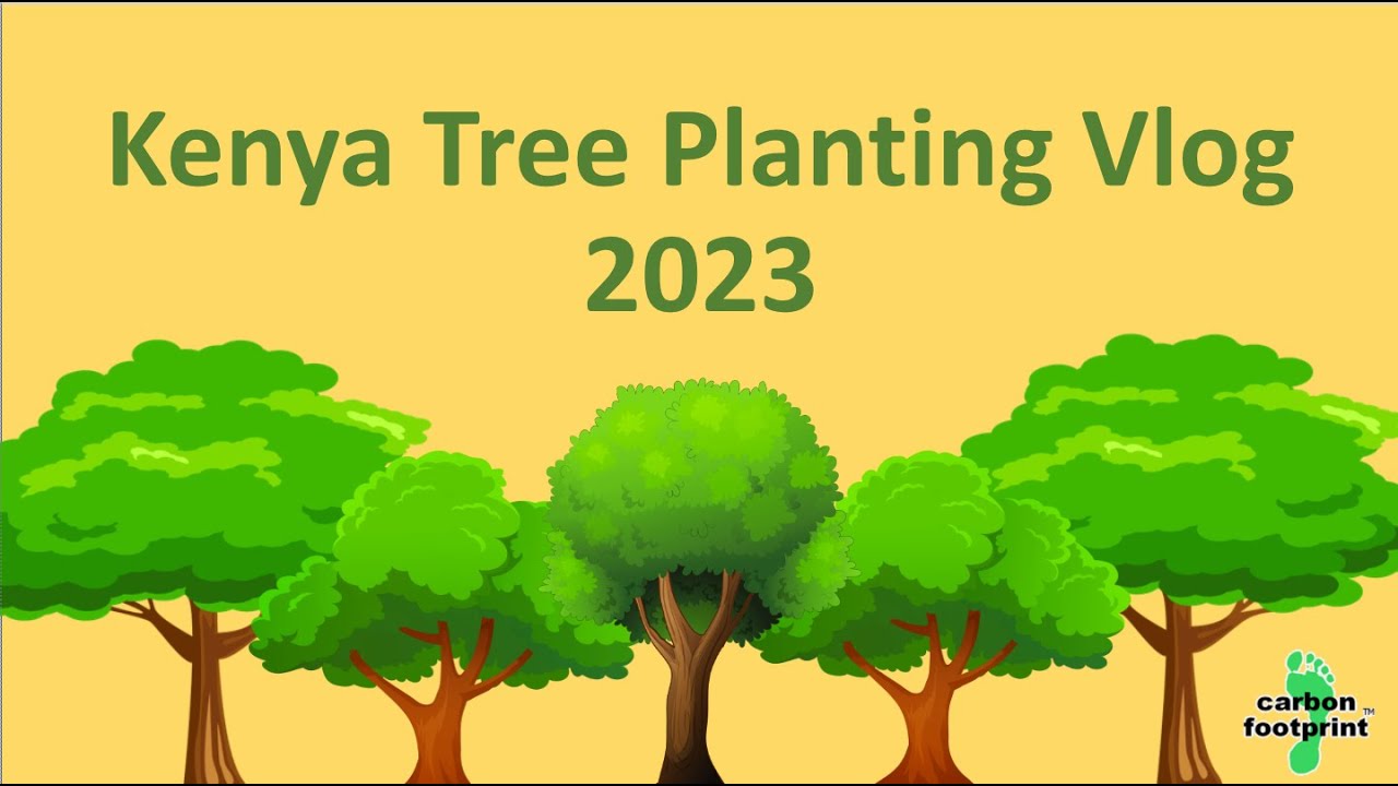 Kenya Tree Planting Vlog - YouTube