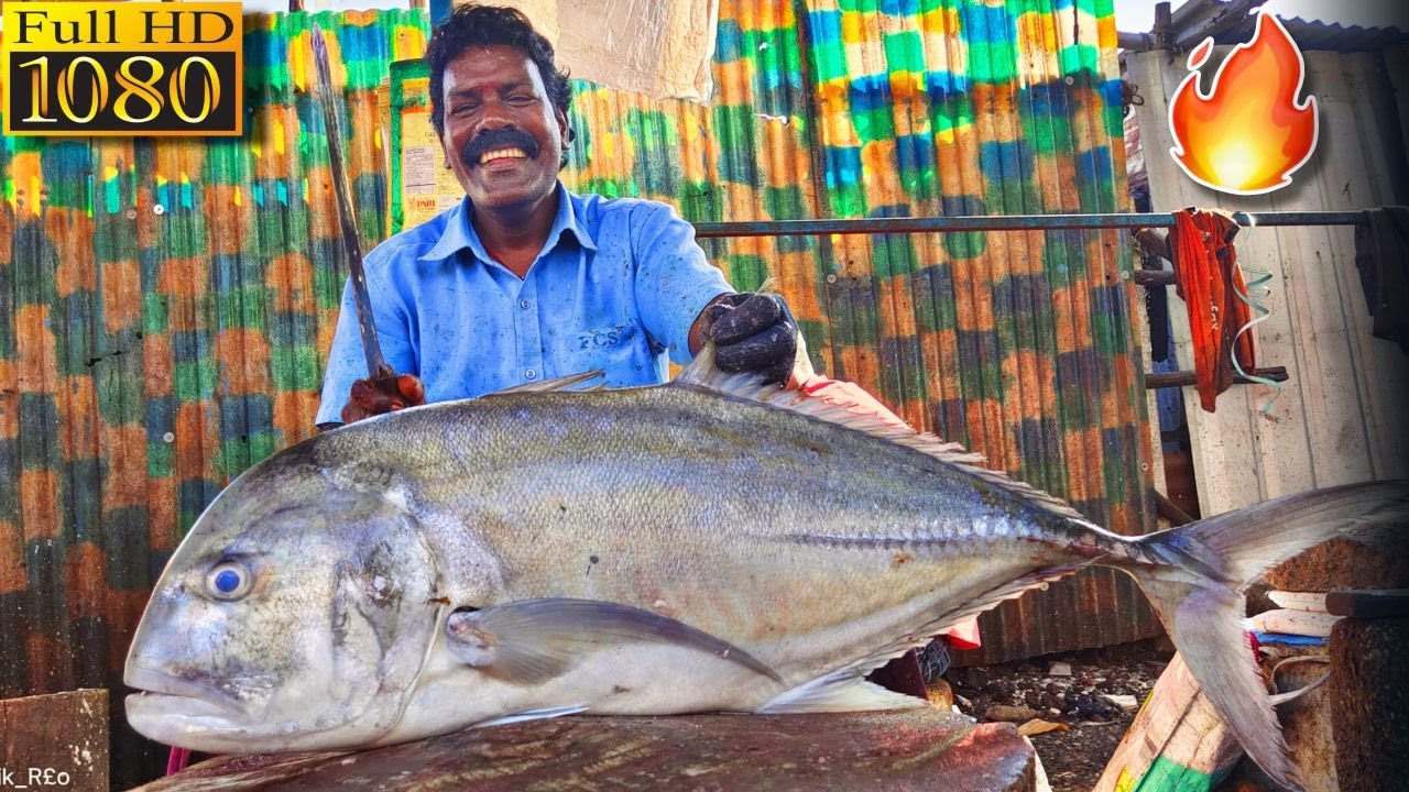 KASIMEDU 🔥SPEED CUTTING | THENGA PAARAI FISH CUTTING🐟 | FISH CUTTING ...