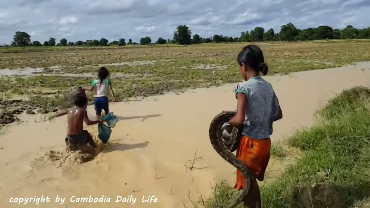 Terrifying!! Brave Little Kids Catch Big Snake in Water While Finding ...