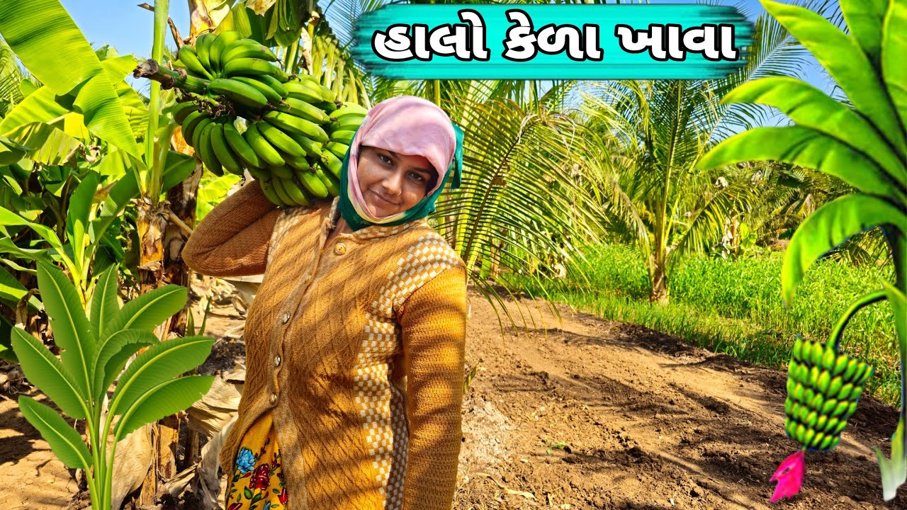 હમણાં તો ખેતરનું કામ હાલે || Couple vlogs || Bhavesh joshna vlogs ...