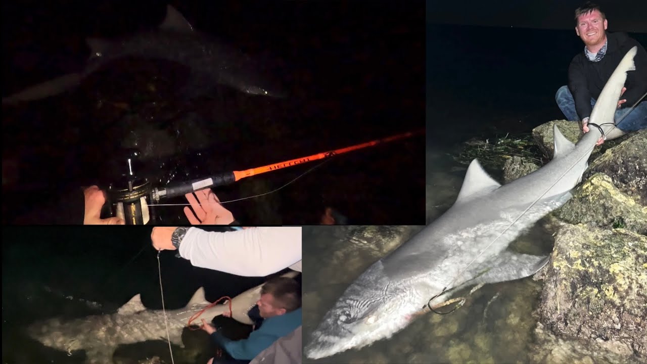 Catch The Fever Hellcat Extra Heavy Fishing Rod Vs Giant Florida Pier ...