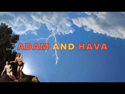 ADAM and HAVA montage