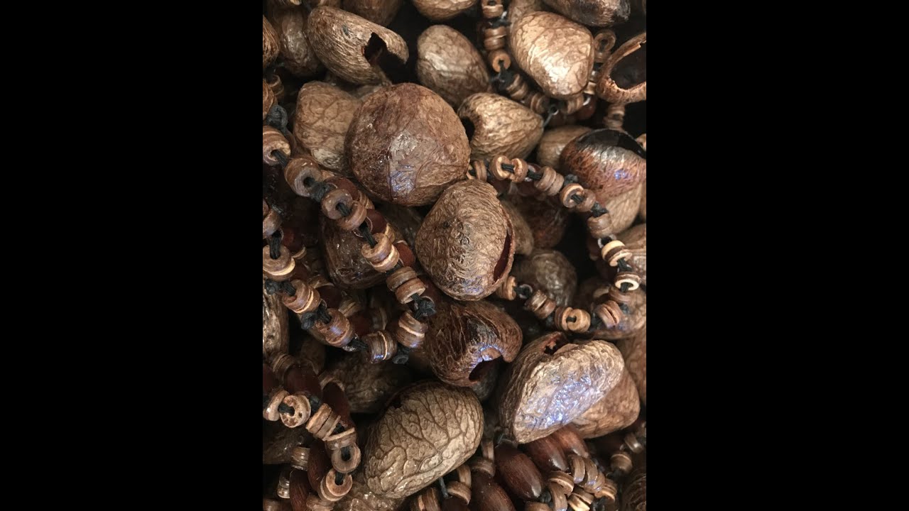 PANGI SEEDS WRIST/ANKLE SHAKER - YouTube