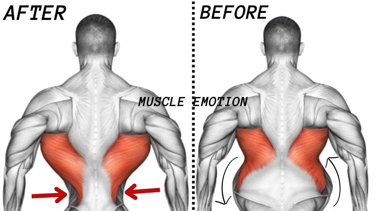 OBLIQUE WORKOUT- 6 best exercises to reduce love handles - YouTube