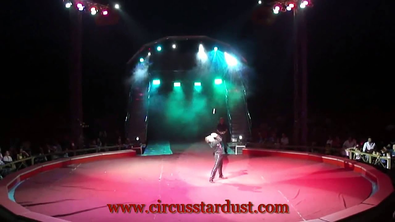 Circus Stardust Entertainment Presents: Juggling Act and Swinging ...