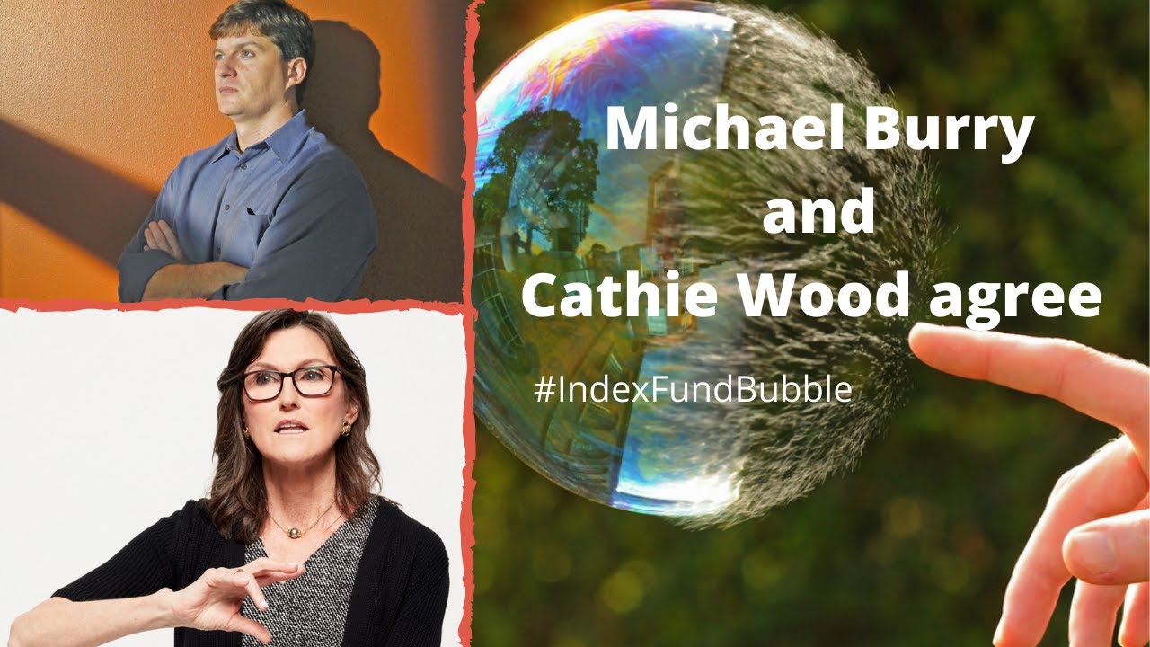 Michael Burry and Cathie Wood Predict Index Funds will COLLAPSE - YouTube