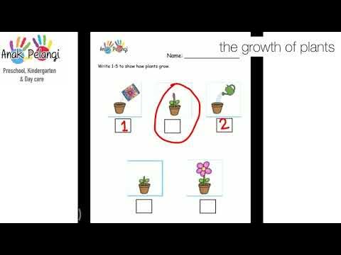 K2 - Science: How do plants grow? (worksheet) - YouTube