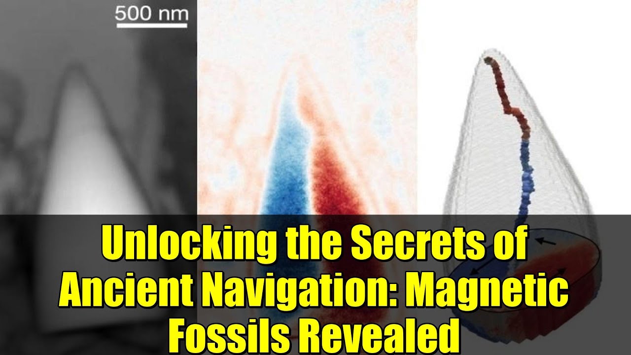 Unlocking the Secrets of Ancient Navigation: Magnetic Fossils Revealed ...