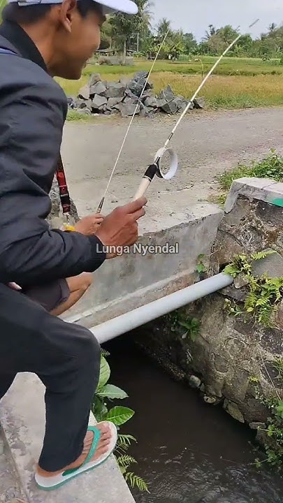 Mancing Nilem di pinggir Jalan #fishing - YouTube