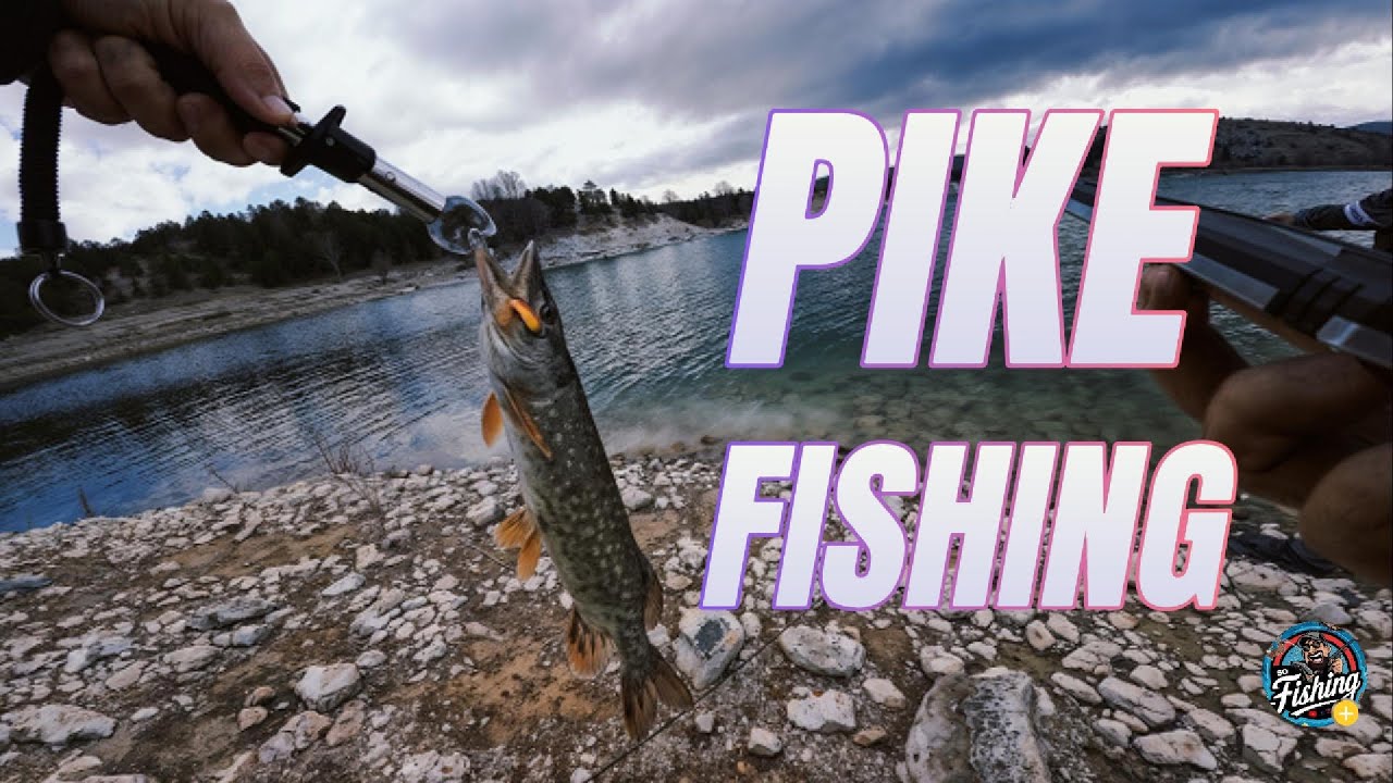 LRF PIKE FISHING - YouTube