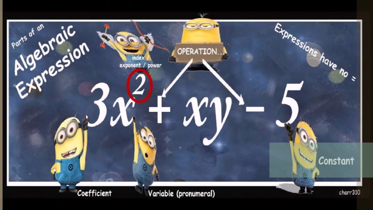ALGEBRA 1 Labelling Algebraic ELEMENTS HD - YouTube