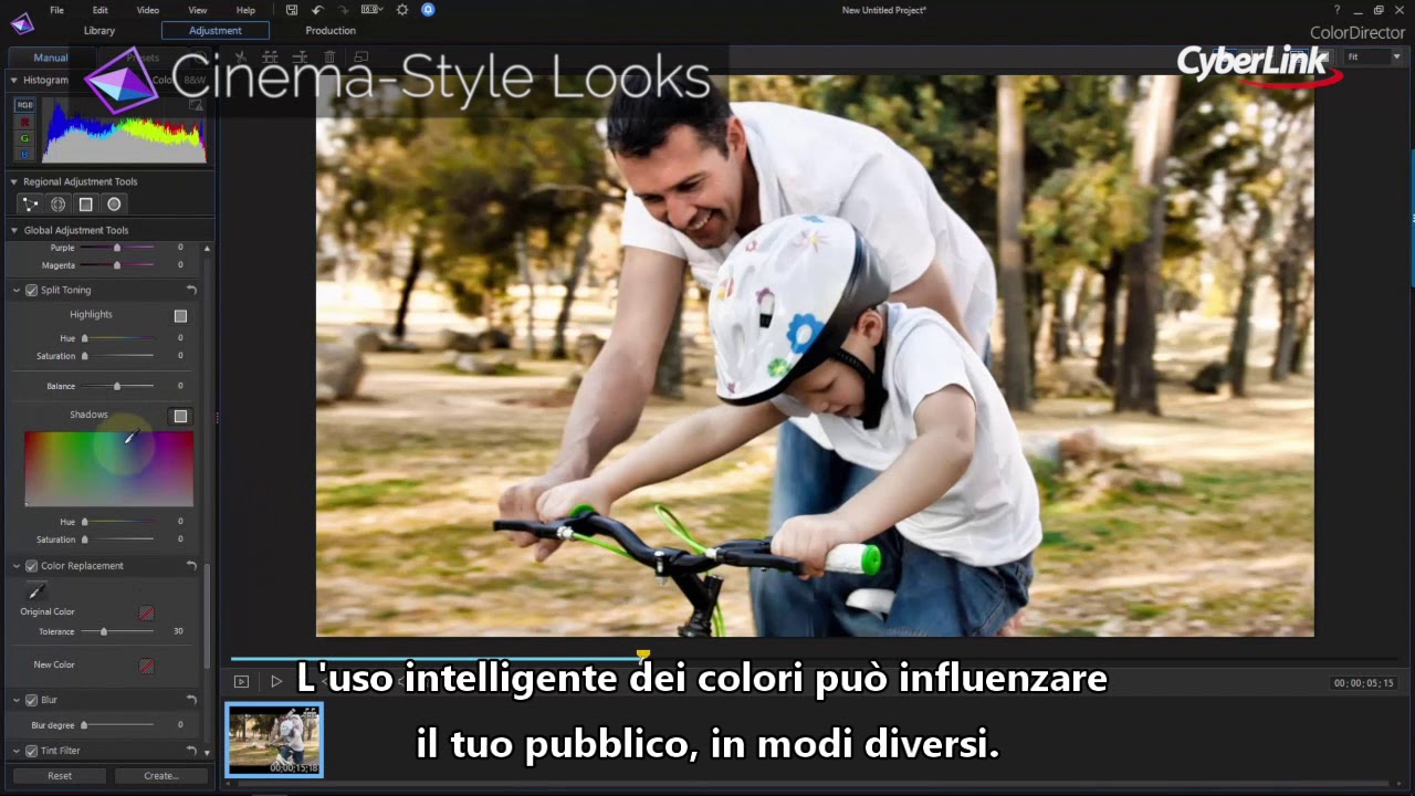 ColorDirector 6 | Correzione Colori Semplificata - YouTube