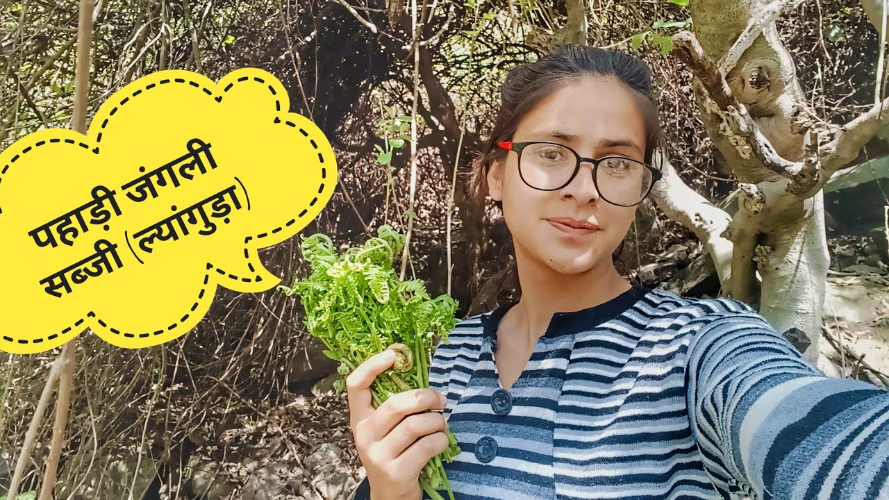 पहाड़ी जंगली सब्जी (ल्यांगुडा)||Pahadi Jungli vegetable||bestie ...