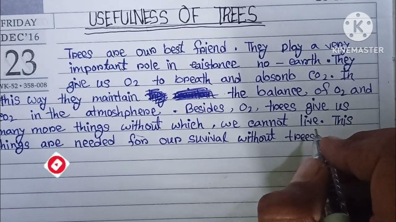 Paragraph writing on usefulness of trees.For class-5,6,7,8,9,10 - YouTube