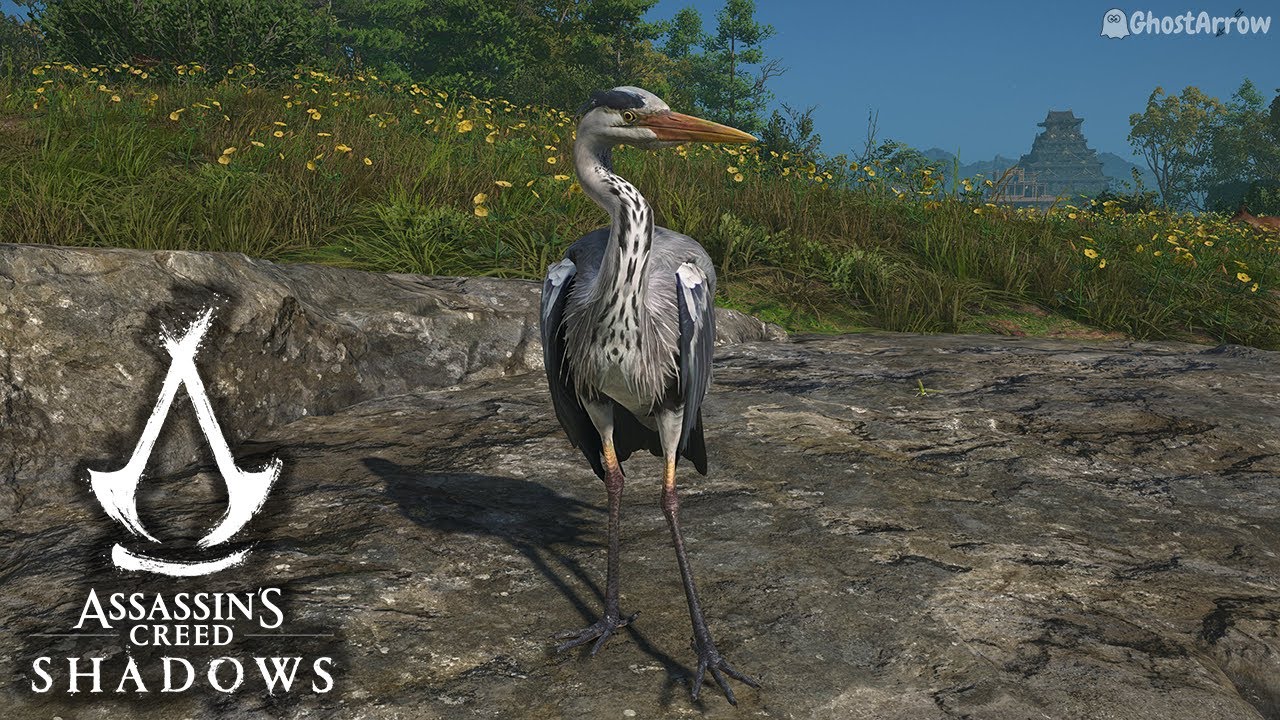 Graceful Grey Heron Sumi-e Location and How to Paint It | Assassin's ...