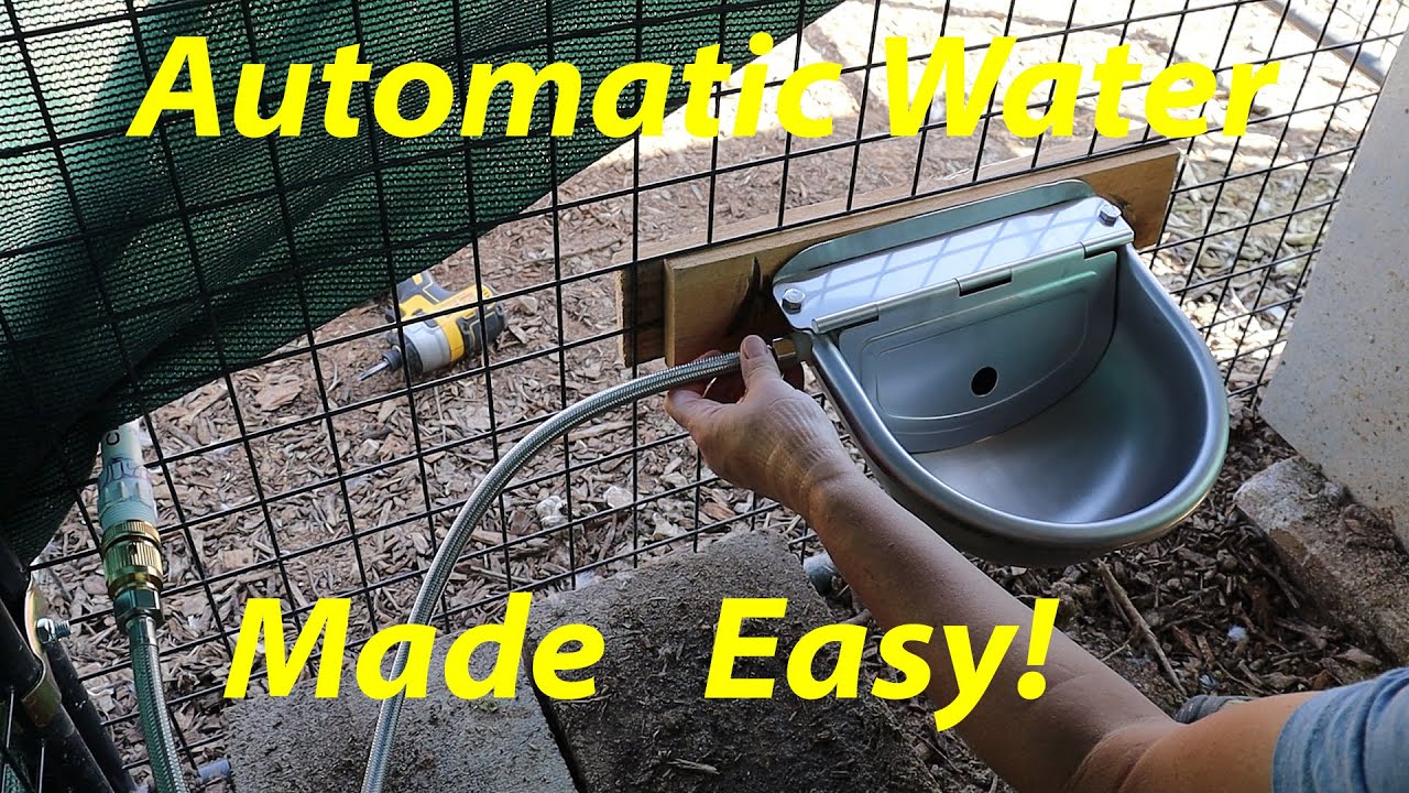New Fertilizer | Automatic Waterer for Ducks and Turkeys | @IVOrganic ...