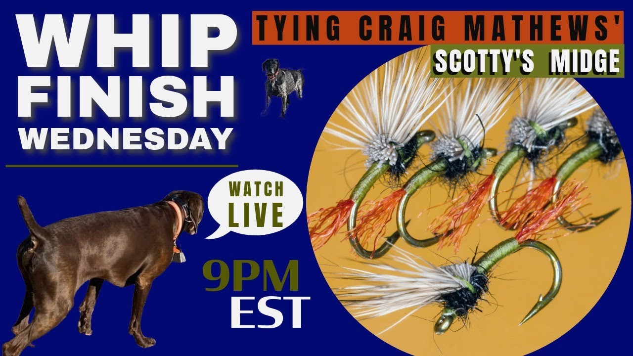 How to tie Craig Mathews' Scotty's Midge -- Live Fly Tying on Whip ...