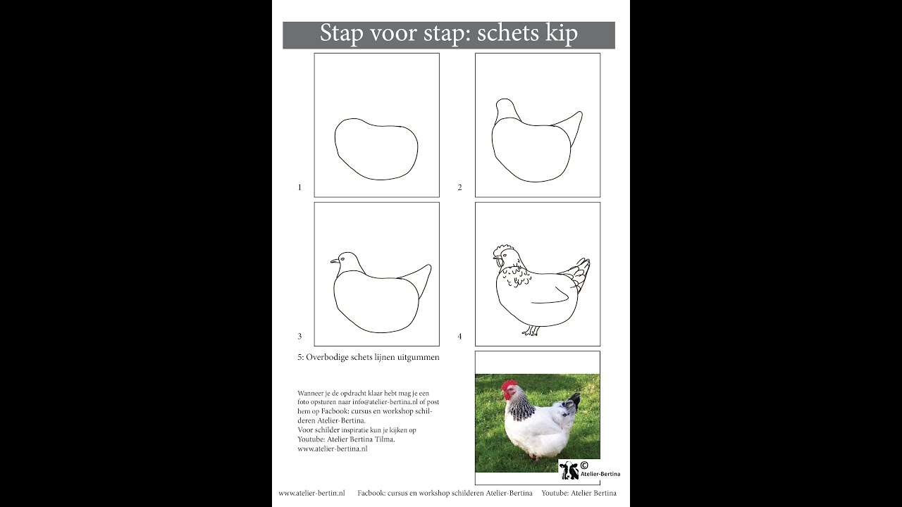 Dia kip schetsen stap voor stap / chicken sketching step by step, door ...