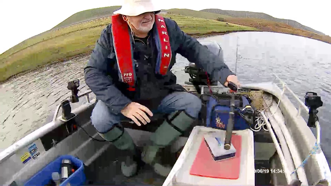 Craigbourne Dam fish capture. - YouTube