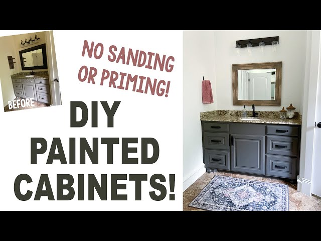 Paint Kitchen Cabinets Without Sanding Or Stripping | Cabinets Matttroy