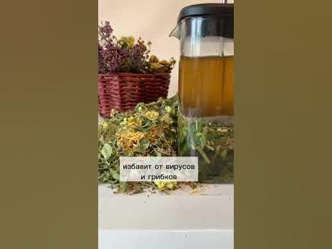 Сбор трав противогрибковый + антипаразитарный - YouTube