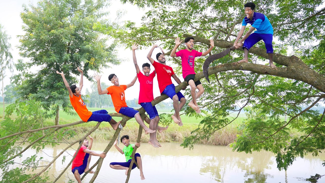 New Entertainment Funny Video 😂 Comedy Video 2022 Episode 65 By Our Fun ...