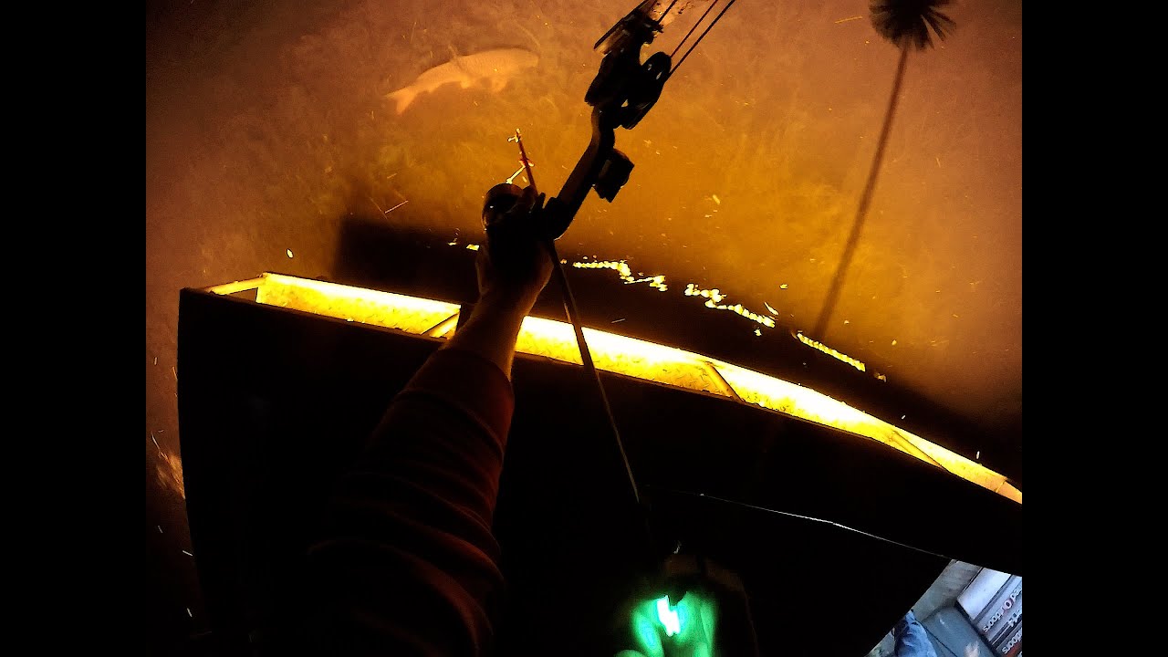 Chasing the Wisconsin Carp Spawn! - YouTube