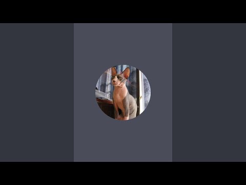 Andri Dirgantara sedang live sekarang!