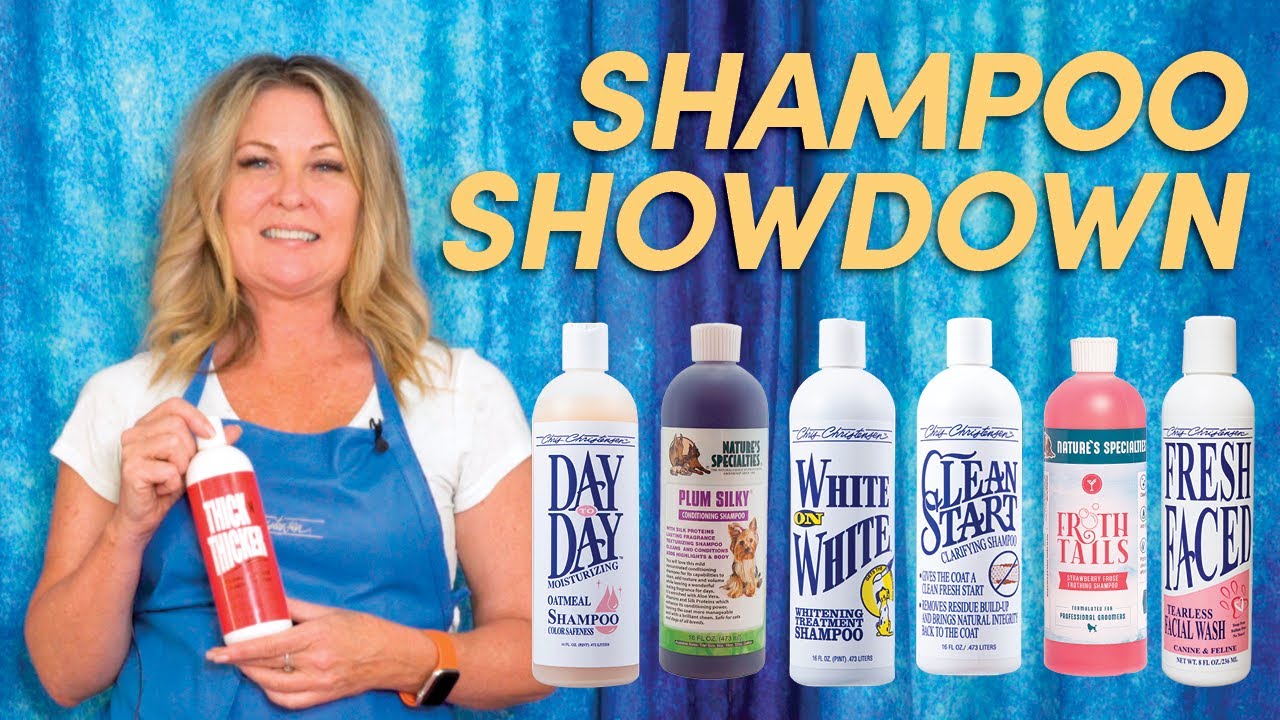 Shampoos & Treatments | Dog Grooming & Handling Equipment Series - YouTube