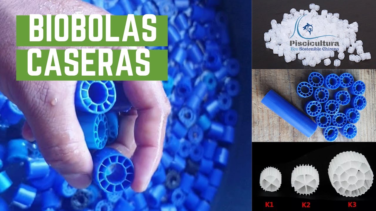 Como hacer BIOBOLAS Caseras [ MEJORA TU FILTRO BIOLOGICO ] 🦠 🧫♻️ ...