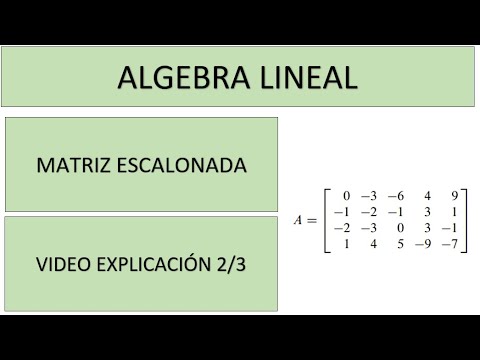 ALGEBRA LINEAL - MATRIZ ESCALONADA - VIDEO 2/3 - YouTube