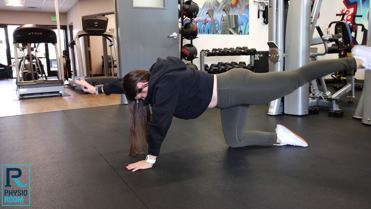 Bird Dog Crunch - YouTube