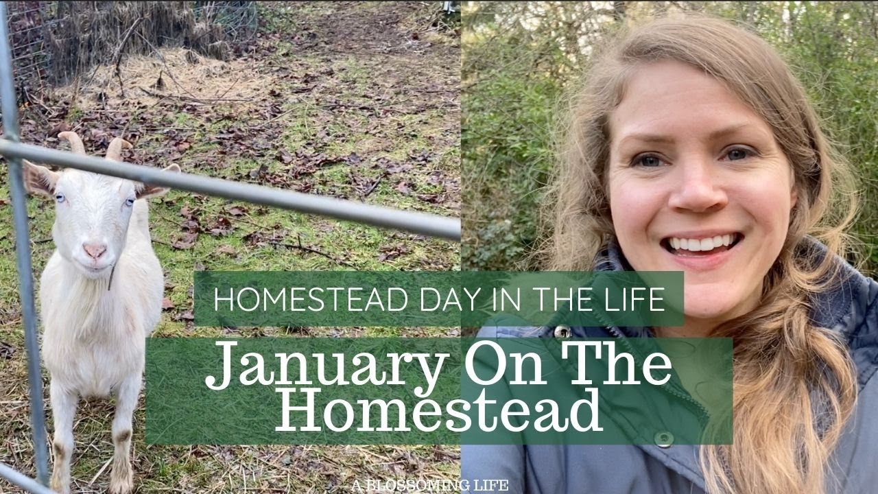 Homestead Day In The Life: January On The Homestead - YouTube