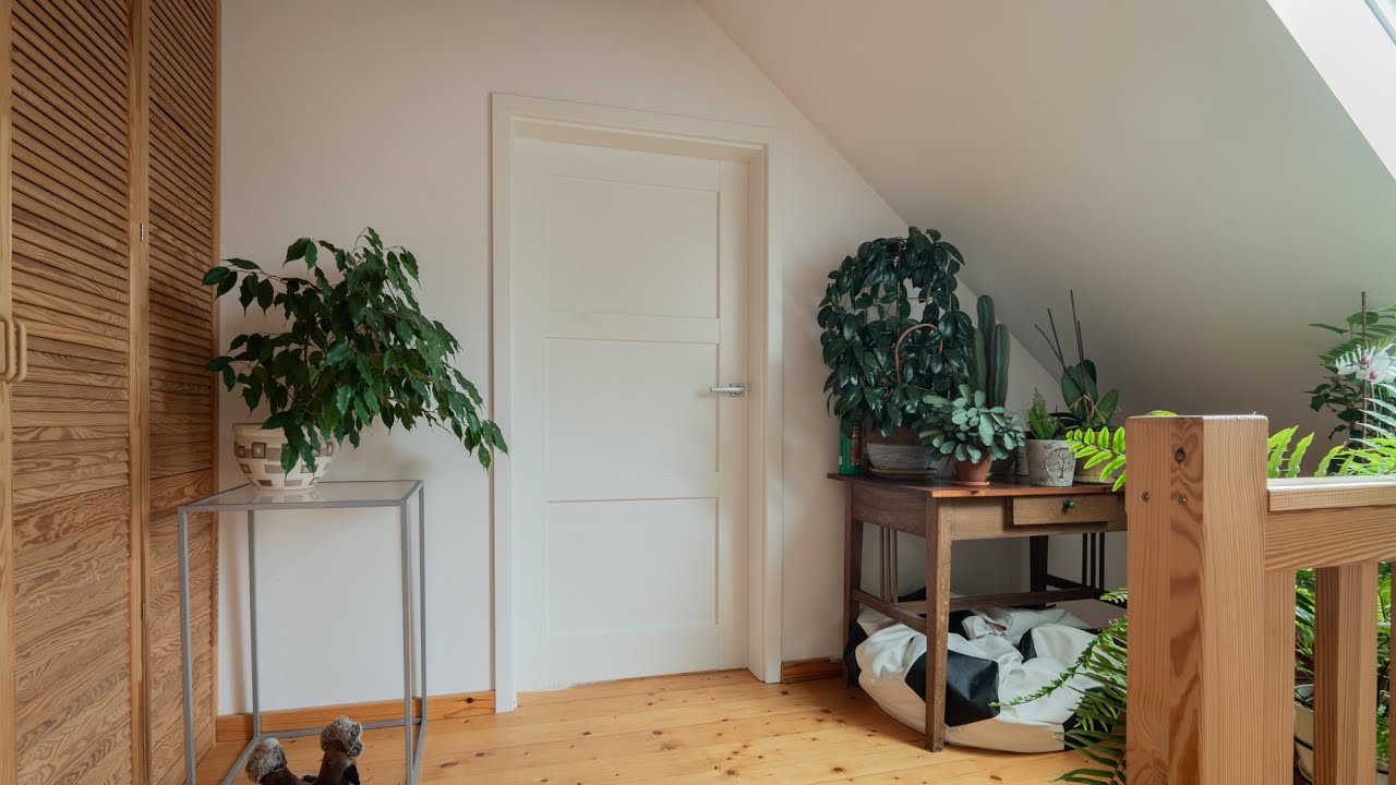 BS5-DS-308121 - YouTube