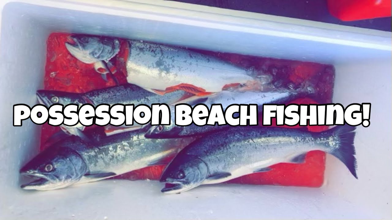 Possession Bait beach fishing easy limits! - YouTube