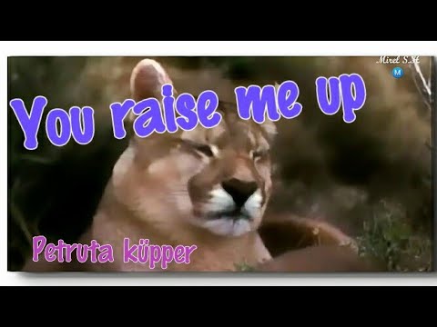 🎶Petruta küpper - You raise me up 🔵 - YouTube